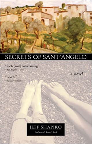 SARTWENTY-TWENTY- Chapter II: About Jeff Shapiro – Siena Art Institute Blog